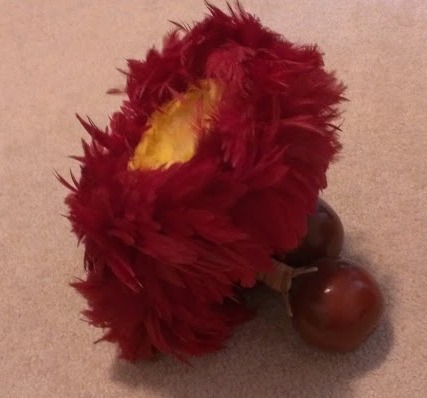 The History of Hawaiian Music